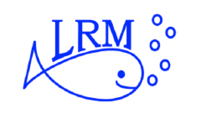 The Spectrum Group to Represent Openchannelflow