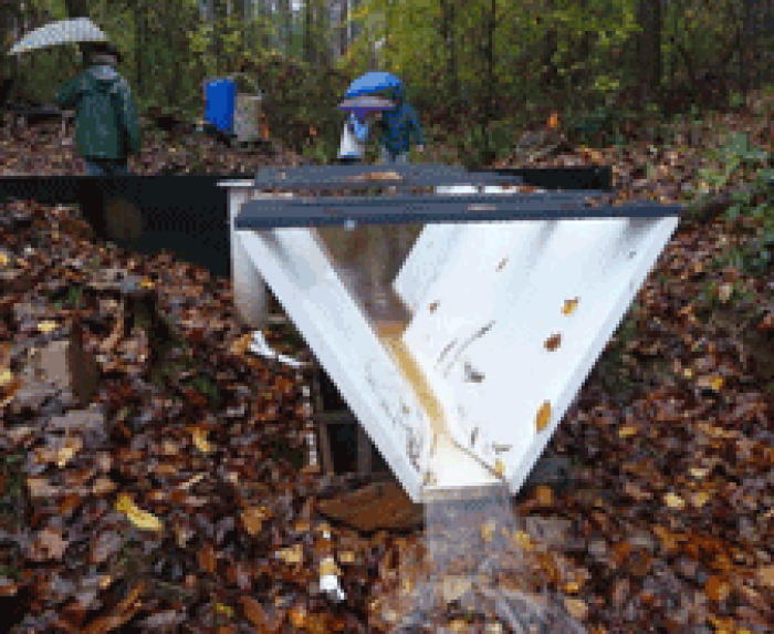 Calculating Channel Froude Numbers for Flumes and Weirs
